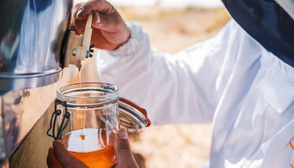 The Pollinator Project